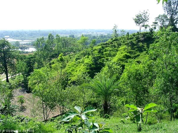 INTERESTING PLACES IN BANGLADESH: Images of Moheshkhali Island